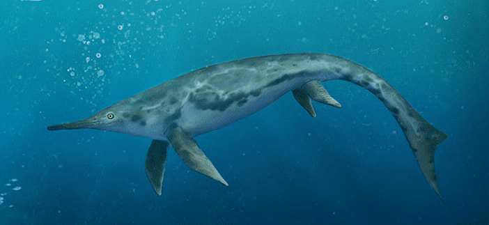 30 ANNI DI BESANOSAURO - Il museo dei Fossili di Besano